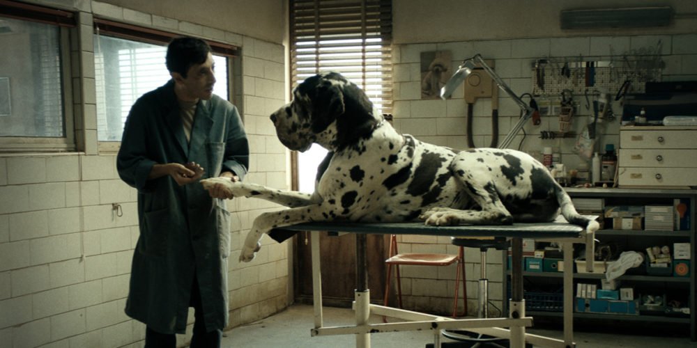 TIFF 2018 Review: Dogman - Scene Creek